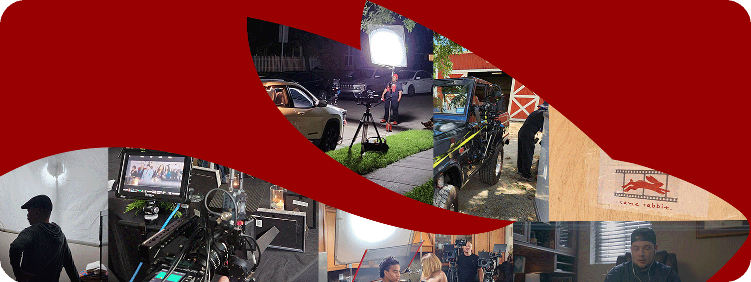 Tame Rabbit – Unmatched In-House Video Production & Cost-Effective ...